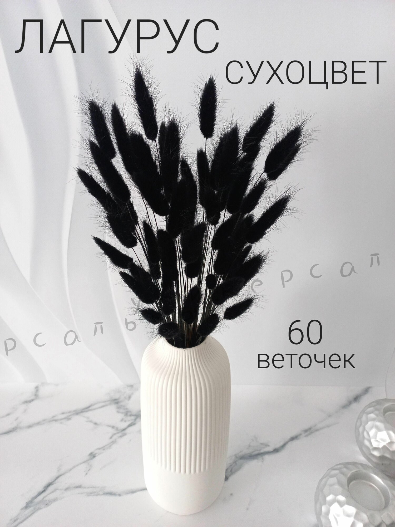 Сухоцветы
