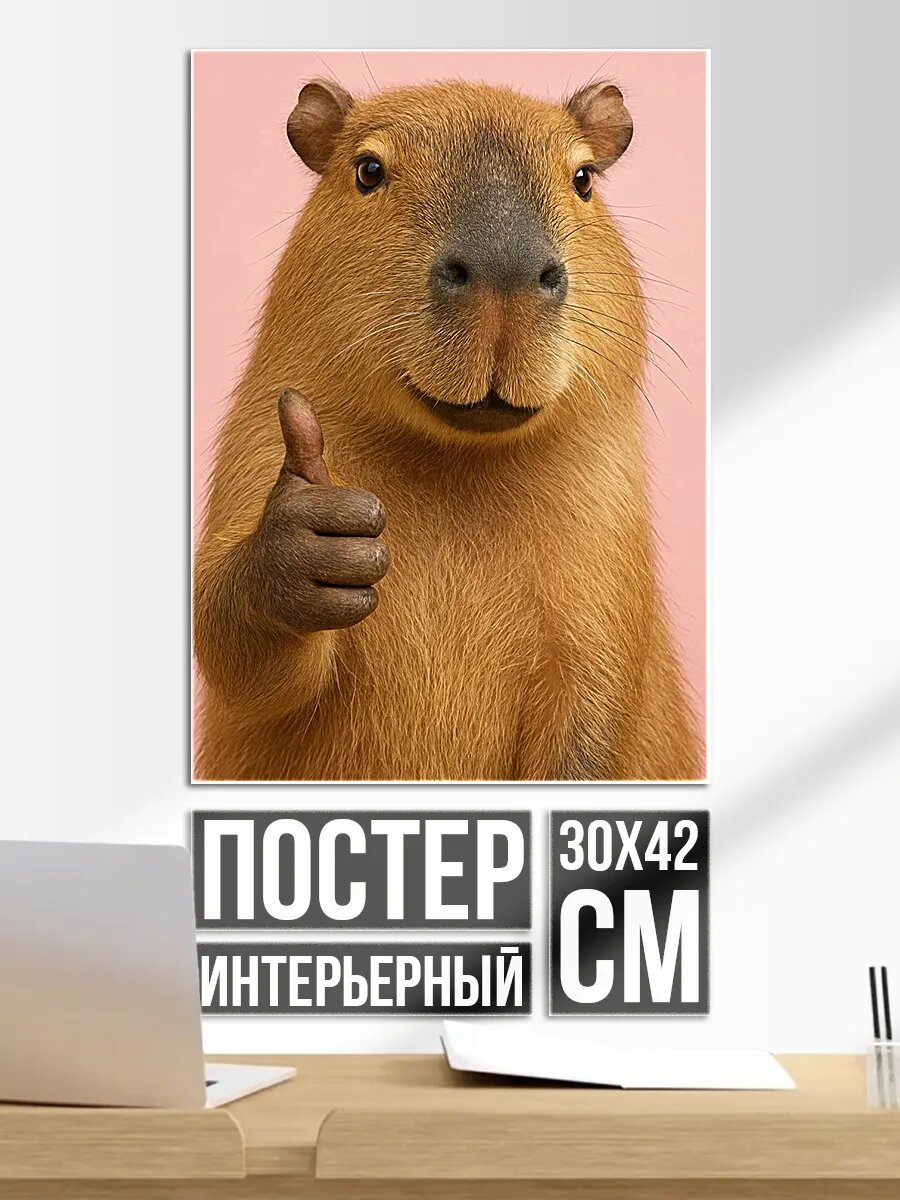 Постер на стену Капибара вариант 1