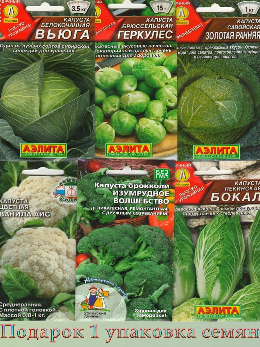 Набор семян аэлита "Капуста Микс", 6 видов, для всех регионов