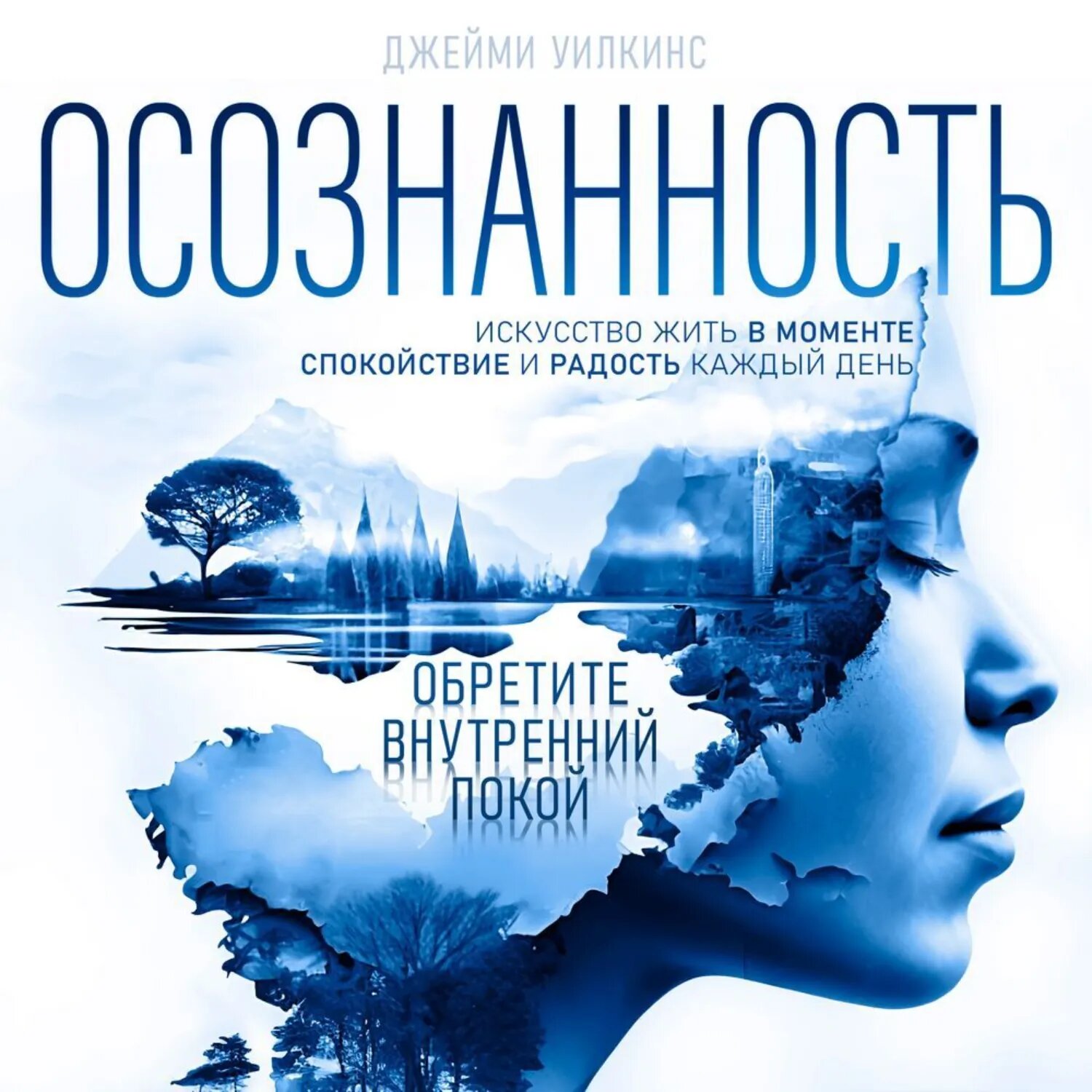 Осознанность. Искусство жить в моменте. Спокойствие и радость каждый день [Аудиокнига]
