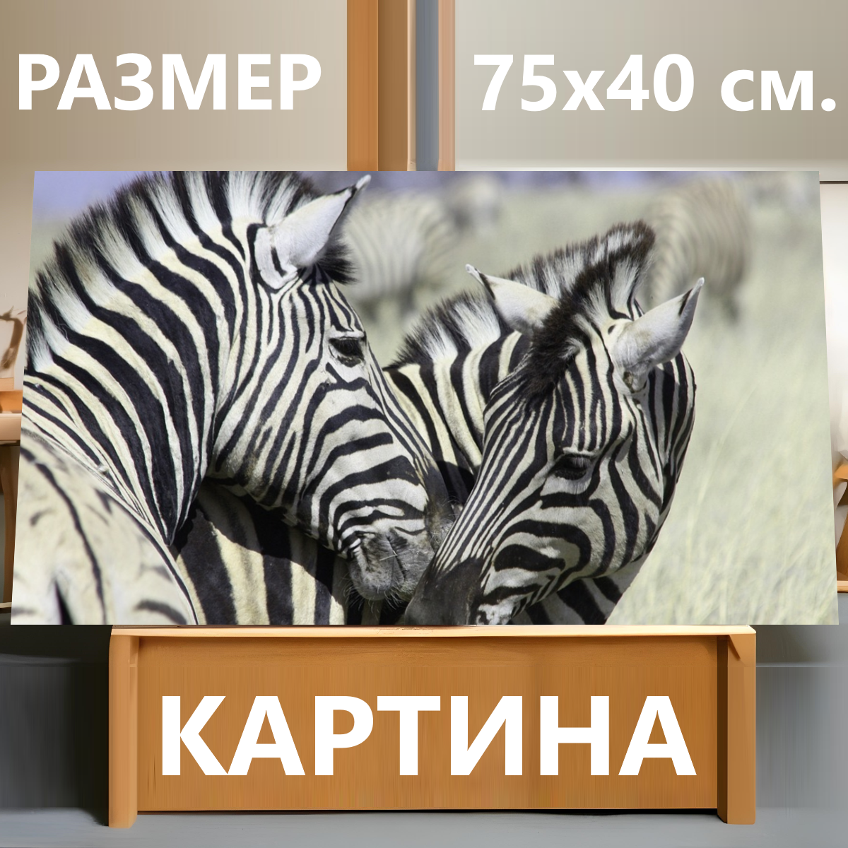 Картина на холсте "Зебры, африке, зебру" на подрамнике 75х40 см. для интерьера