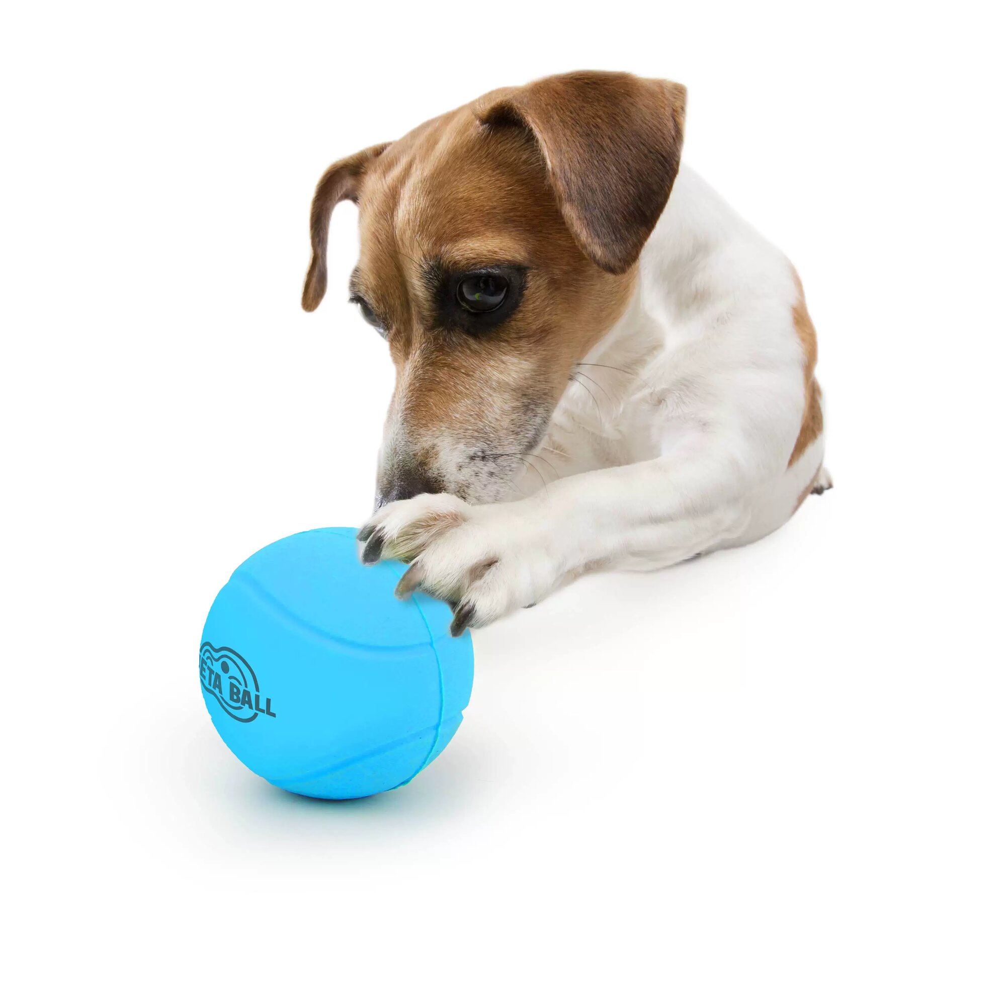 Игрушка для собак AFP Ball Universe: светящийся мяч со звуком, устойчивый к укусам, эластичный, для самостоятельных игр