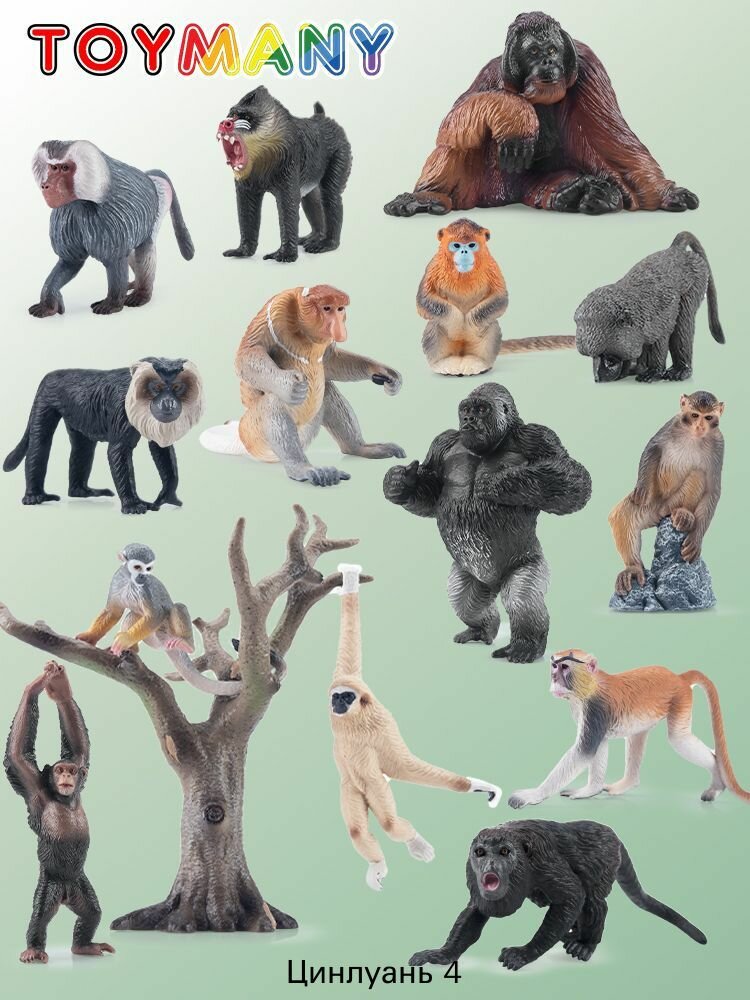 Toymany набор фигурок животных, игровой набор для приматов, 15шт, Обезьяны и человекообразные обезьяны, коллекционные игрушки