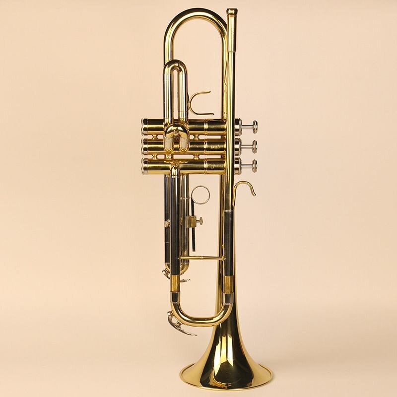 Труба си-бемоль, инструмент для начинающих, студентов и взрослых.