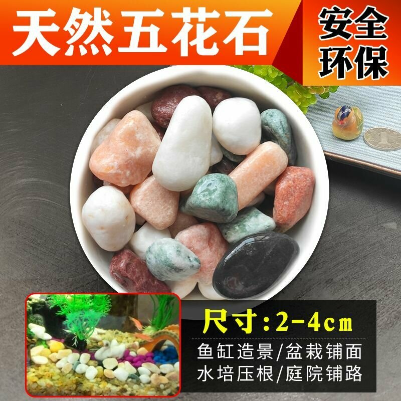 Натуральный камень с пятью цветами, многоцветный камень, поверхность для горшков с суккулентами, гидропонная основа для аквариума, камень дождевого цветка, специальный камень для посадки