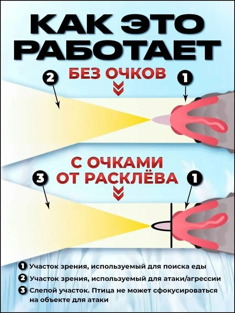 Очки от расклева для птиц — фото 1
