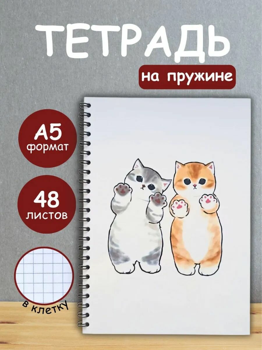 Тетрадь в клетку 48 листов на пружине , блокнот А5 Милые котики