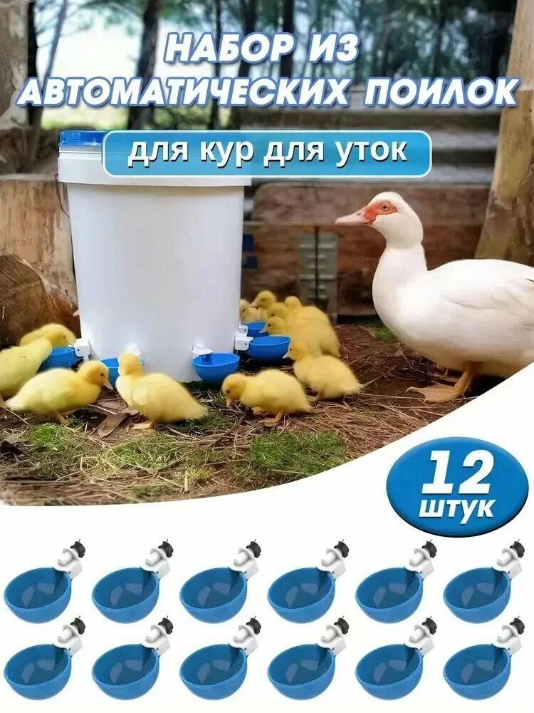 Набор из 12 синих автоматических поилок для кур, для уток, гусей, индеек и кроликов,(Ведро в комплект не входит)