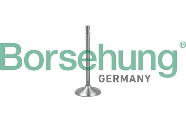 Клапан впускной Borsehung B19017 IN 39.5x6x94 мм, Audi A2, A3, A4, A6, VW Bora, Golf IV, Phaeton, Passat, Polo, Touran, Sharan