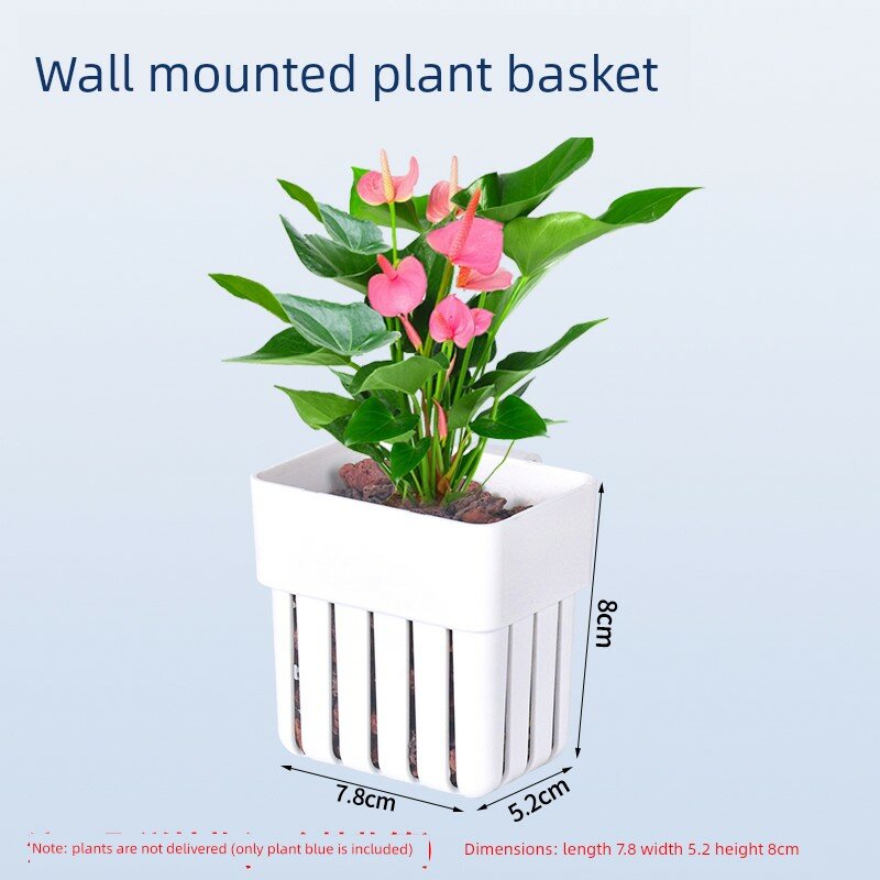 Корзина для растений в аквариум, гидропонная, с фиксацией, для выращивания бамбука в воде, регулируемая по высоте, для