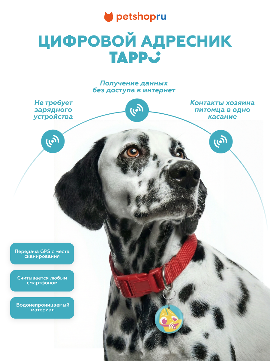 Tappi Цифровой адресник для животных, голубой