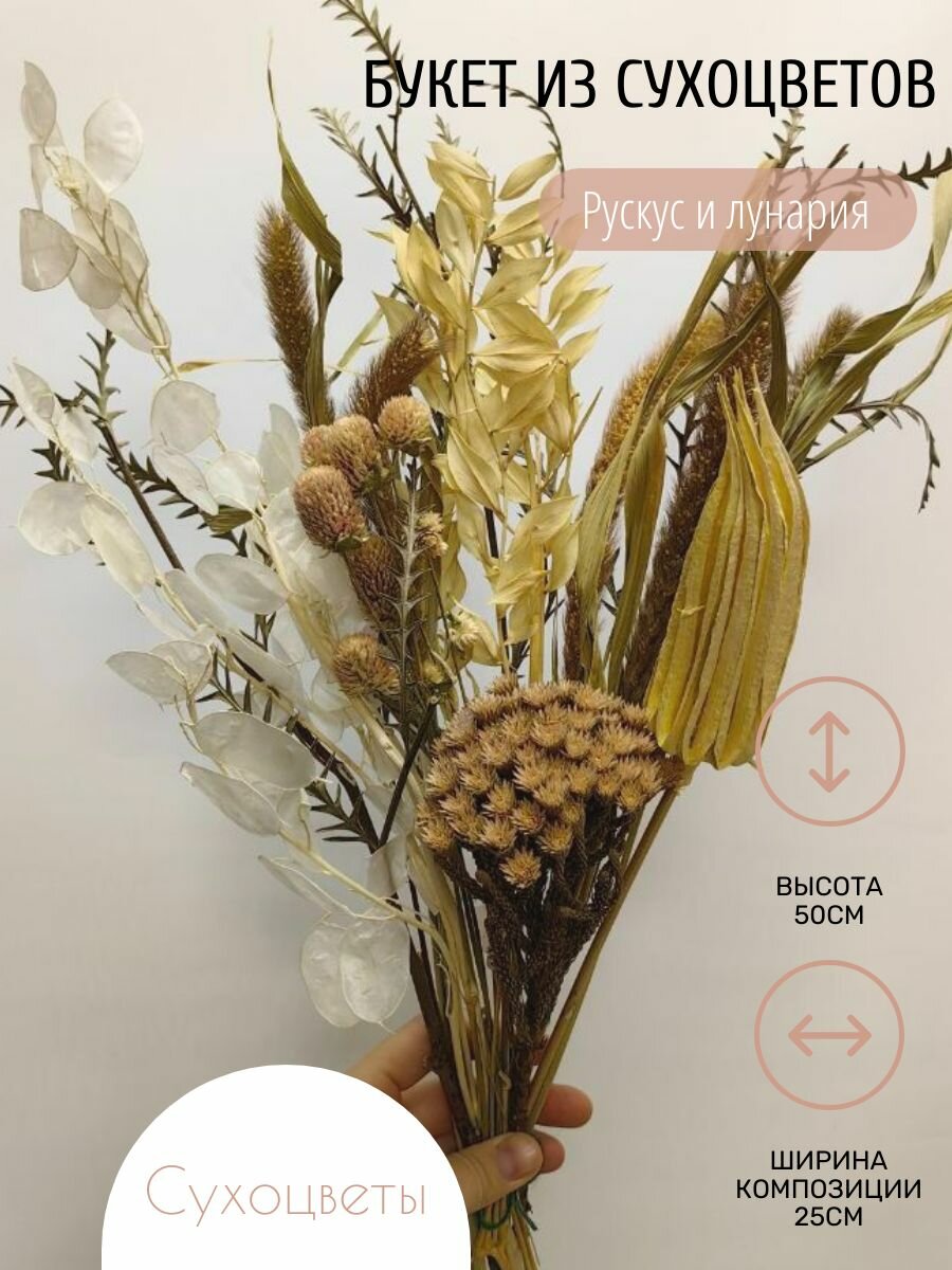 Букет из сухоцветов Рускус и Лунария. Букет из сухоцветов будет радовать ни один год.