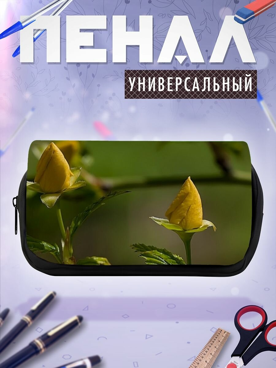 Школьный пенал желтый растение