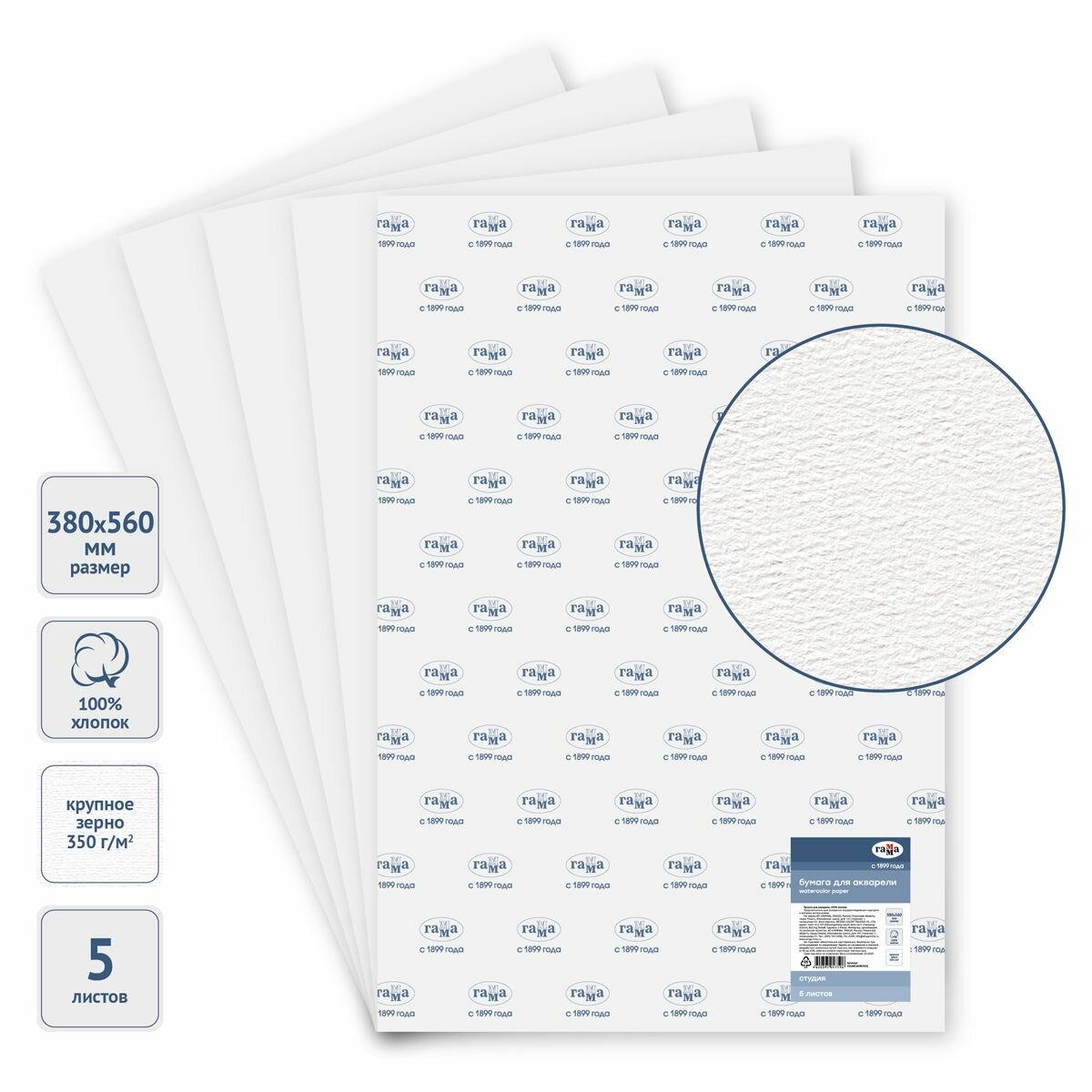 Бумага для акварели, 5л, 380*560мм, Гамма "Студия", 350г/м2, крупное зерно, 100% хлопок