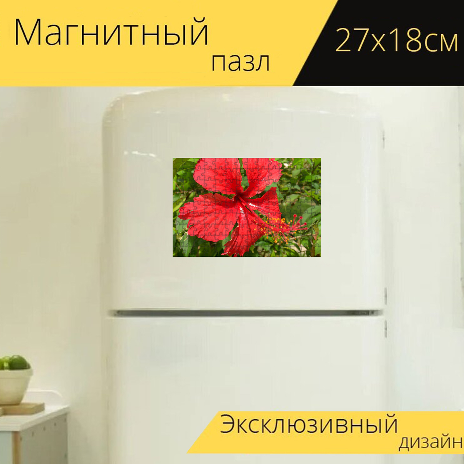 Магнитный пазл "Красный гибискус Красный цветок гибискуса цветение яркий макро экзотический флора цветочный цветок сад зеленый гибискус природа лепесток." на холодильник 27 x 18 см.
