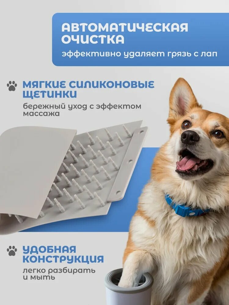 Лапомойка — фото 1