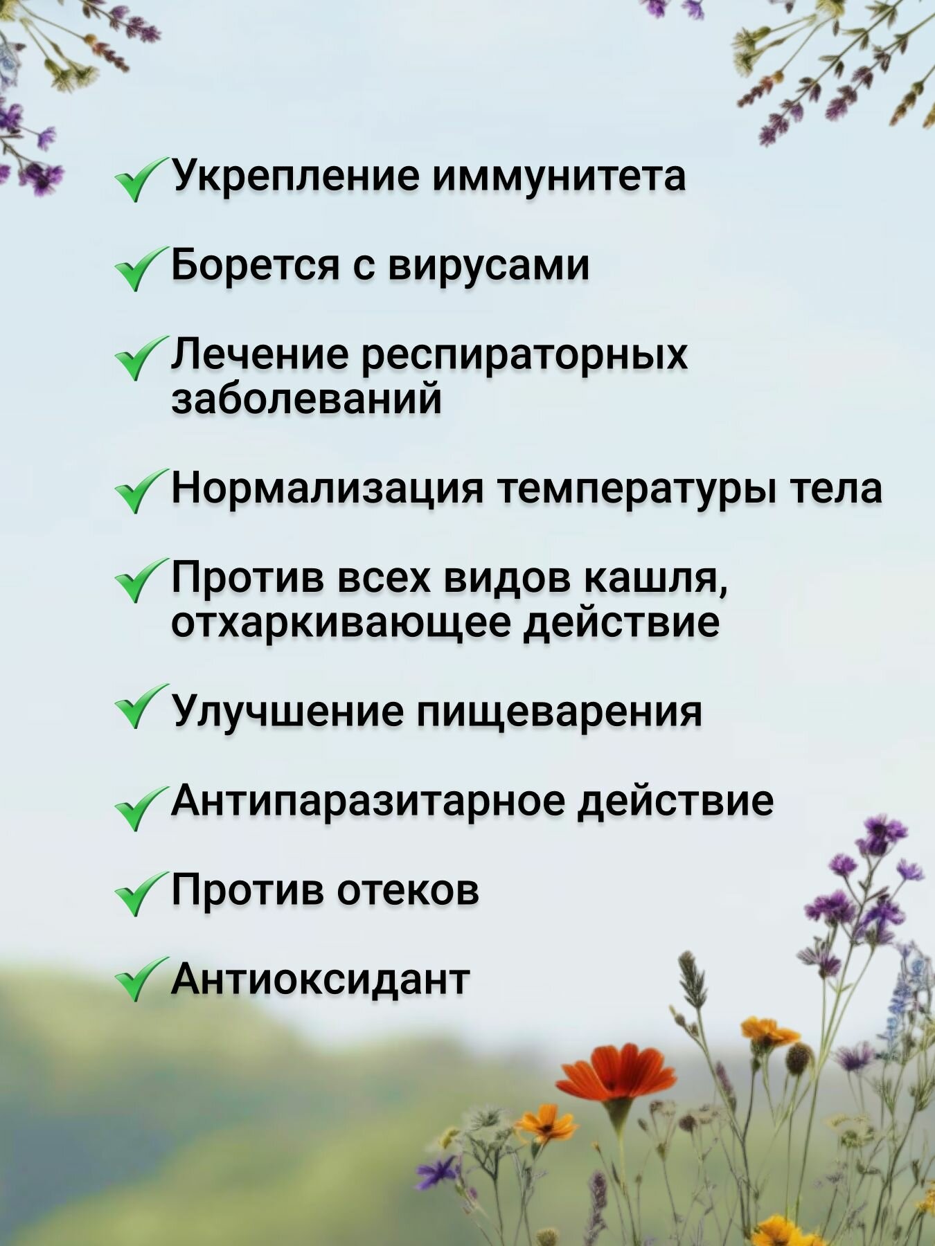 Береза почки 50 гр - чай от отеков, мочегонный, желчегонный, для почек, от кашля / Русские корни — фото 1