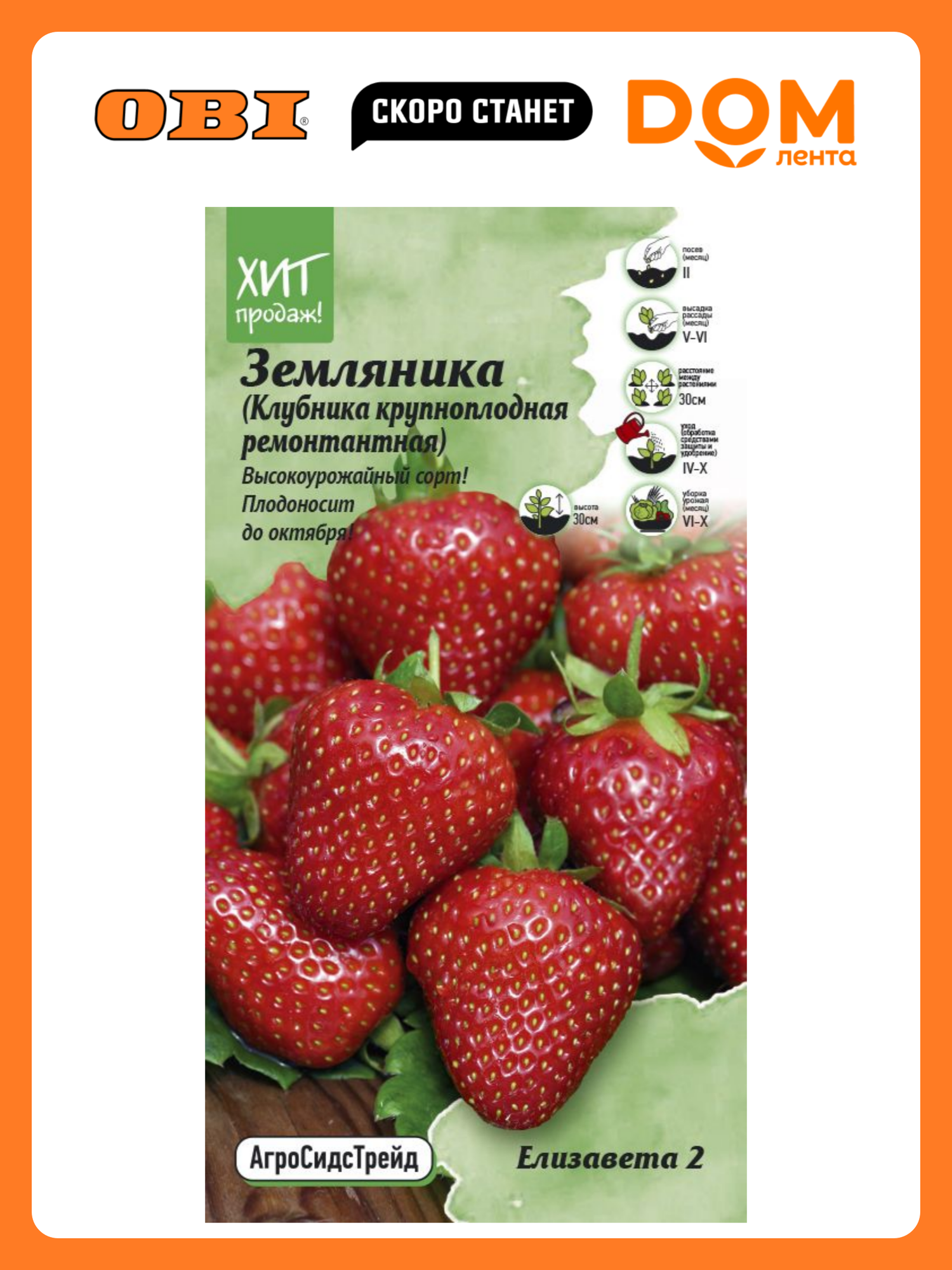Земляника Елизавета 2 (Клубника крупноплодная ремонтантная) 0,02г АСТ