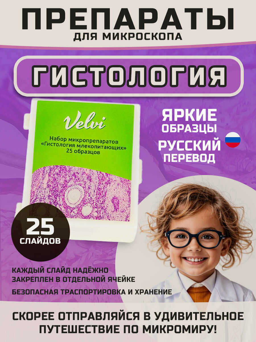 Микропрепараты для микроскопа Velvi "Гистология млекопитающих", 25 готовых образцов