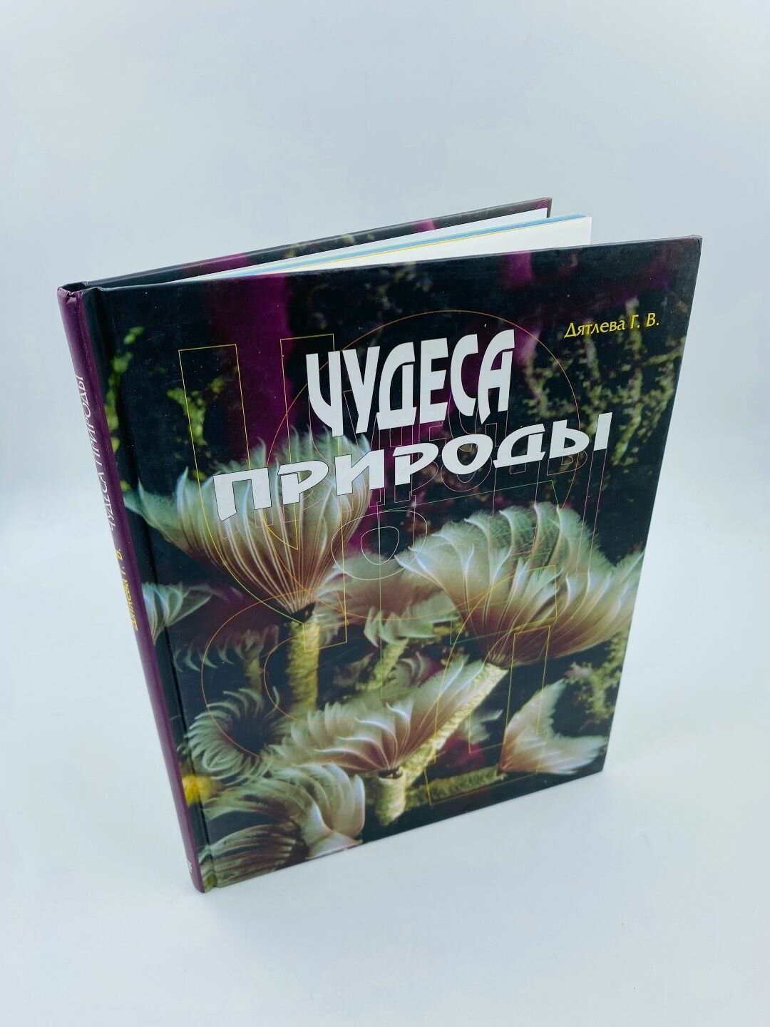 Чудеса природы — фото 1