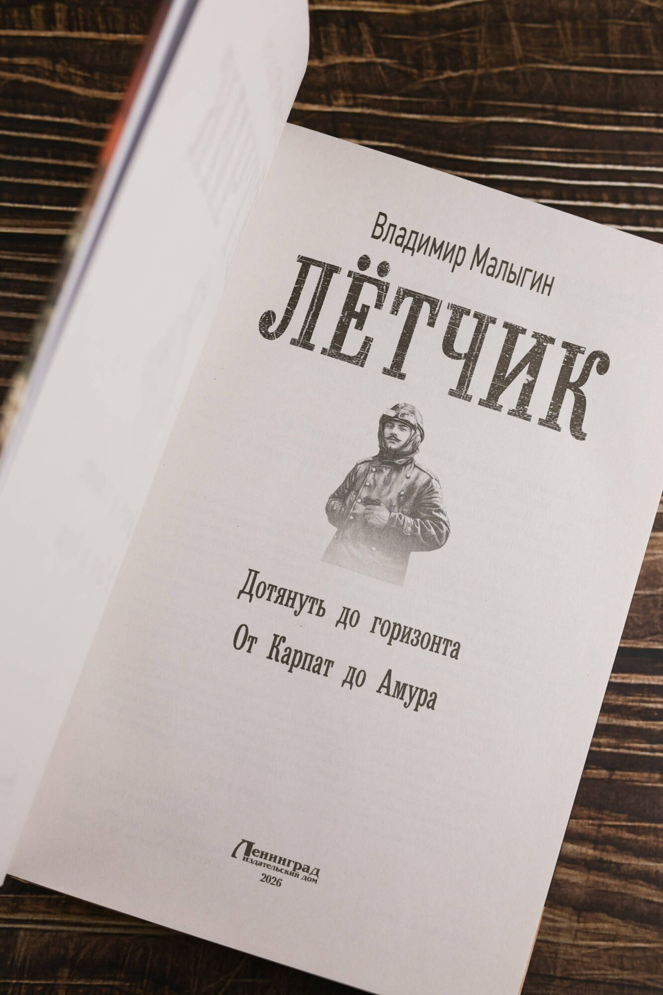 Летчик: Дотянуть до горизонта — фото 1
