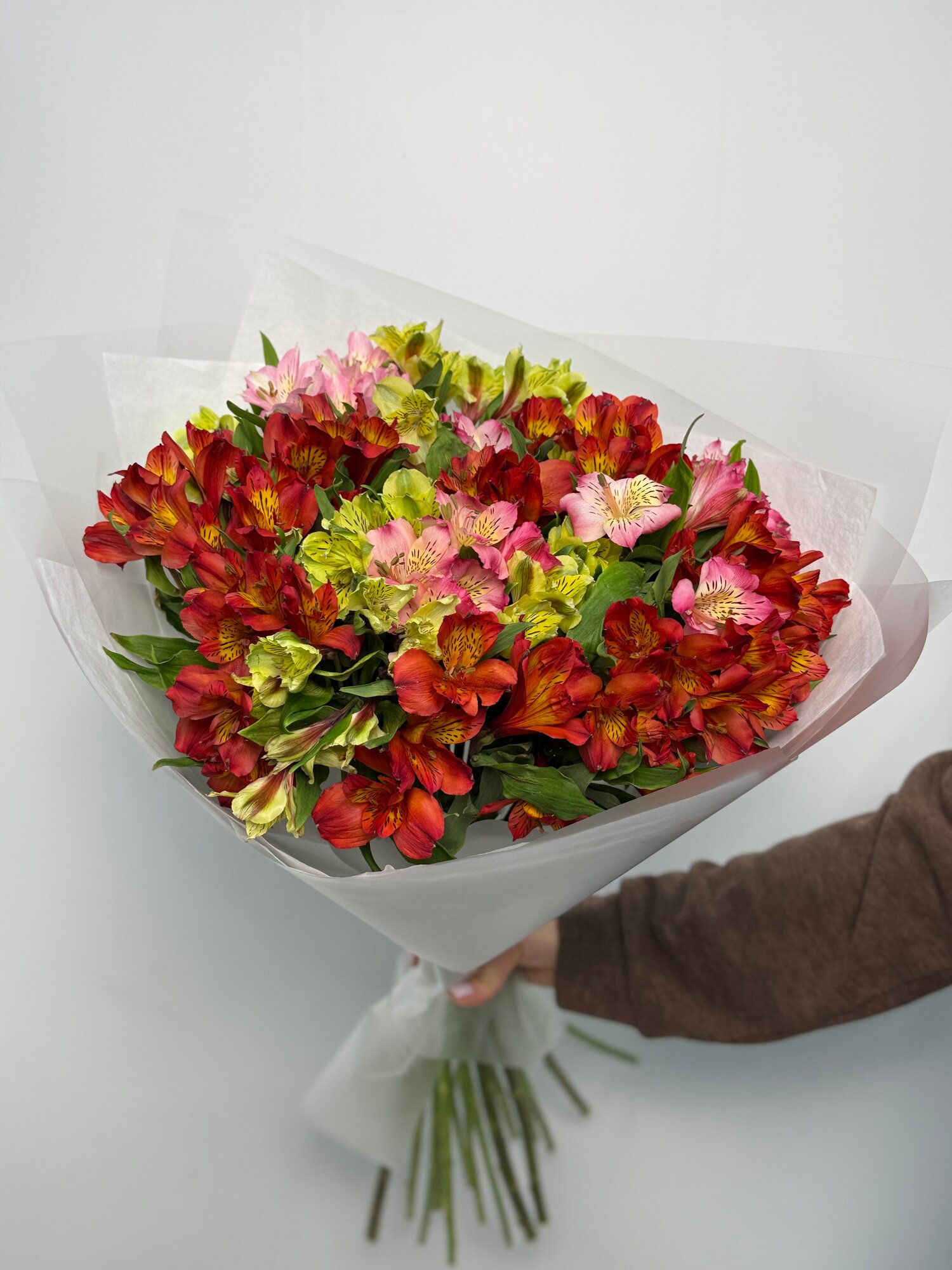 Монобукет из 25 ярких альстромерий купить с доставкой, записка В подарок