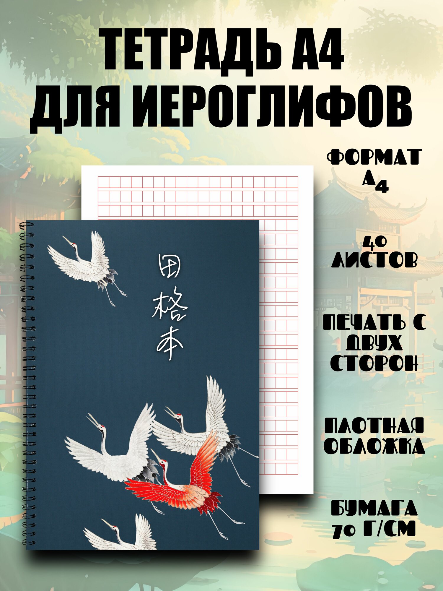 Тетрадь PAN Phrases and Notes, прописи для китайского, японского и корейского, A4, 40 листов