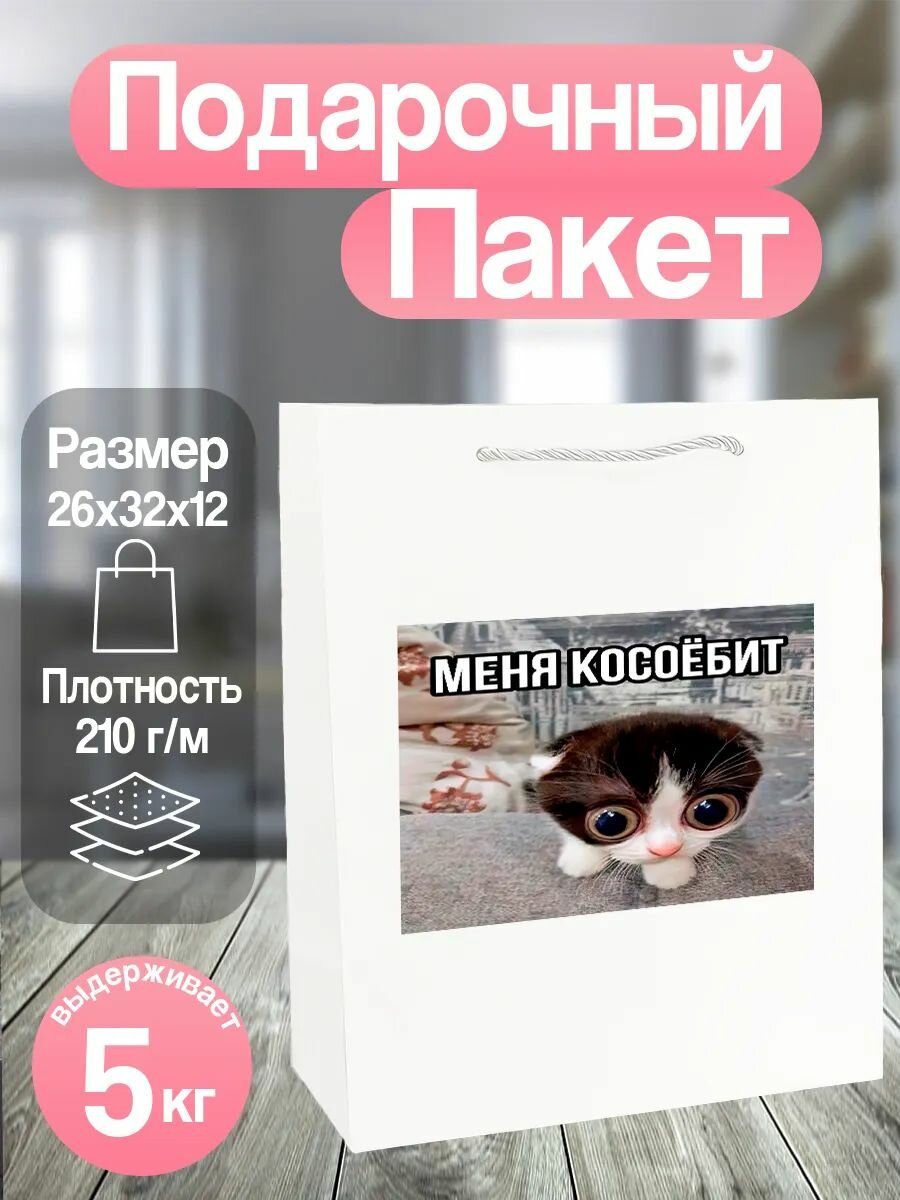 Пакет подарочный мем котики