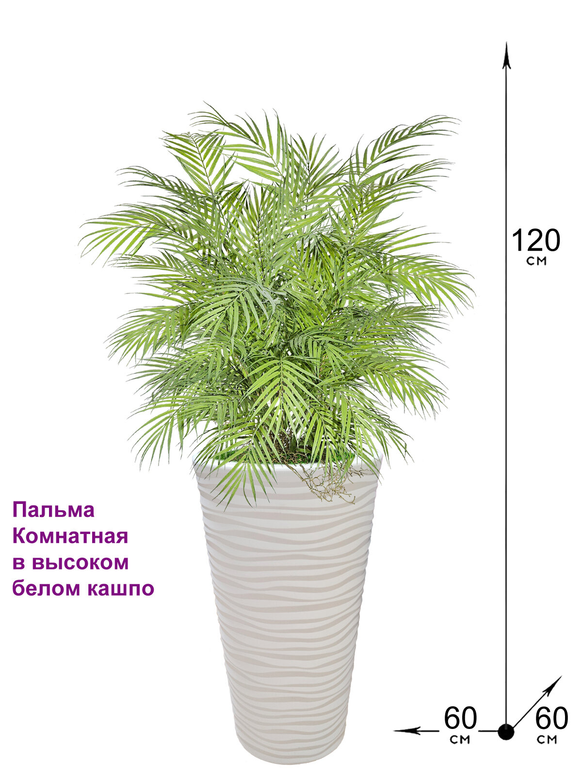Искусственная Пальма комнатная 120 см в высоком круглом белом кашпо от ФитоПарк