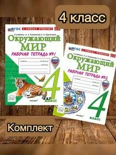 Соколова. Окружающий мир 4 кл. Рабочая тетрадь в 2-х частях/ Плешаков / Школа России