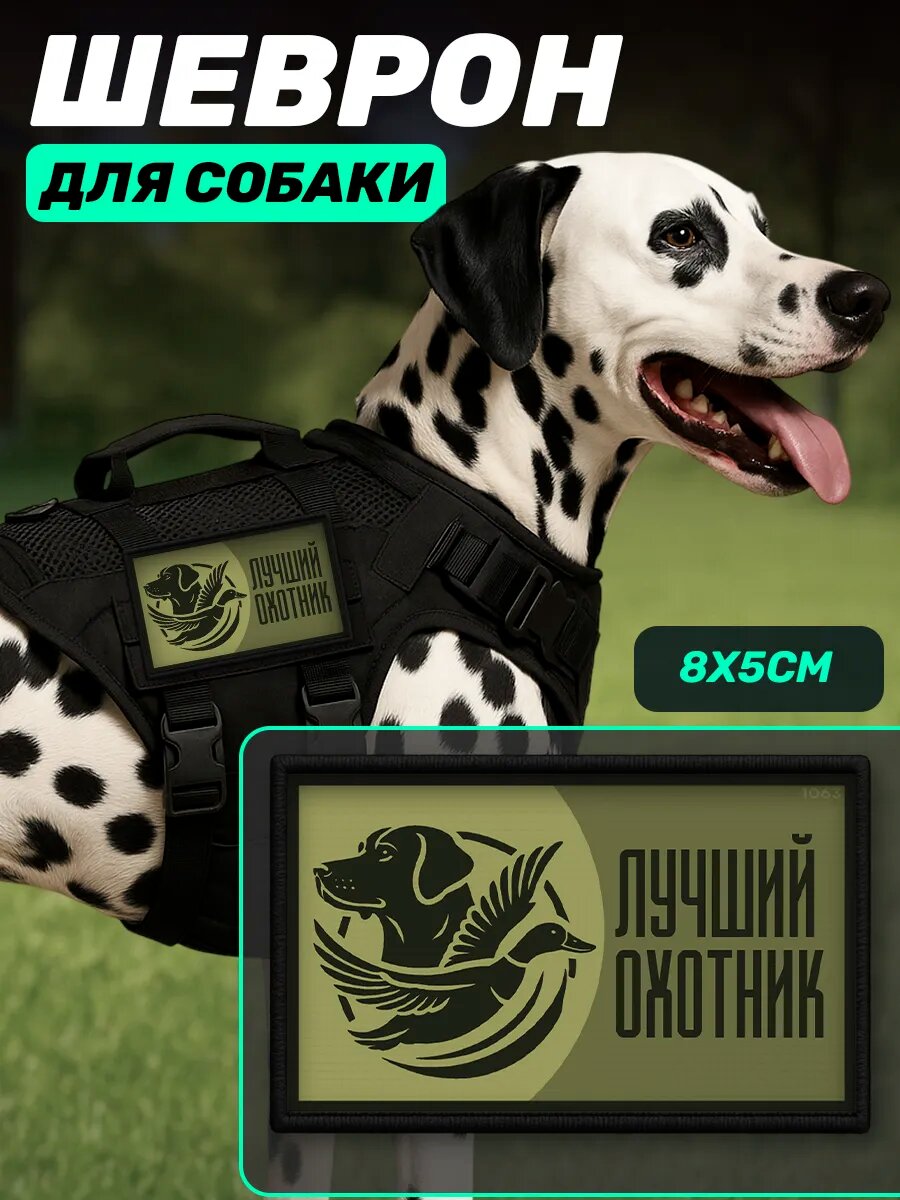 Шеврон на липучке для собак Лучший охотник