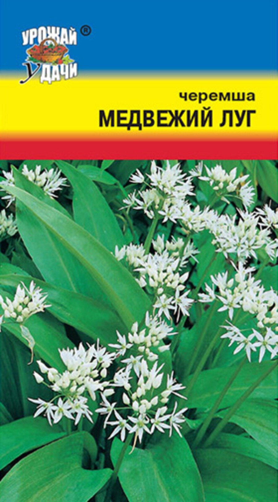 Семена Черемша Медвежий луг (0,2 г), Урожай Удачи, многолетник