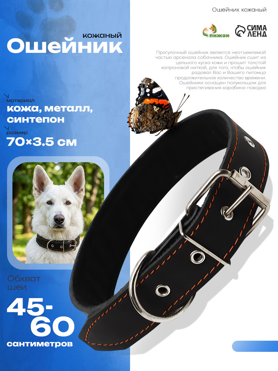 Ошейник кожаный на синтепоне, 70 х 3,5 см, ОШ 45-60 см, чёрный