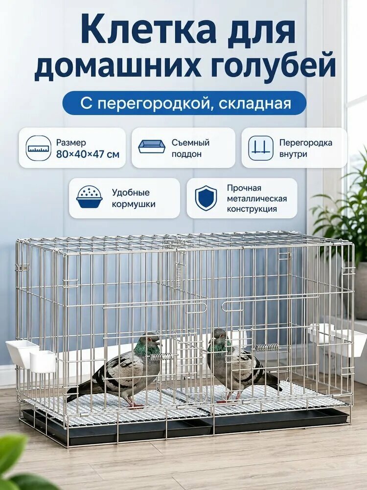Клетка для домашних голубей имеет перегородку,80*40*47