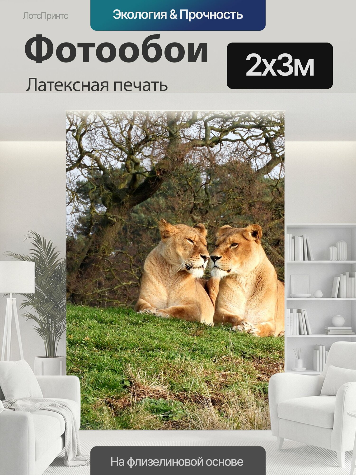 Фотообои моющиеся ударопрочные "Лев, дикая природа, львица" 200x300 см. латексная печать