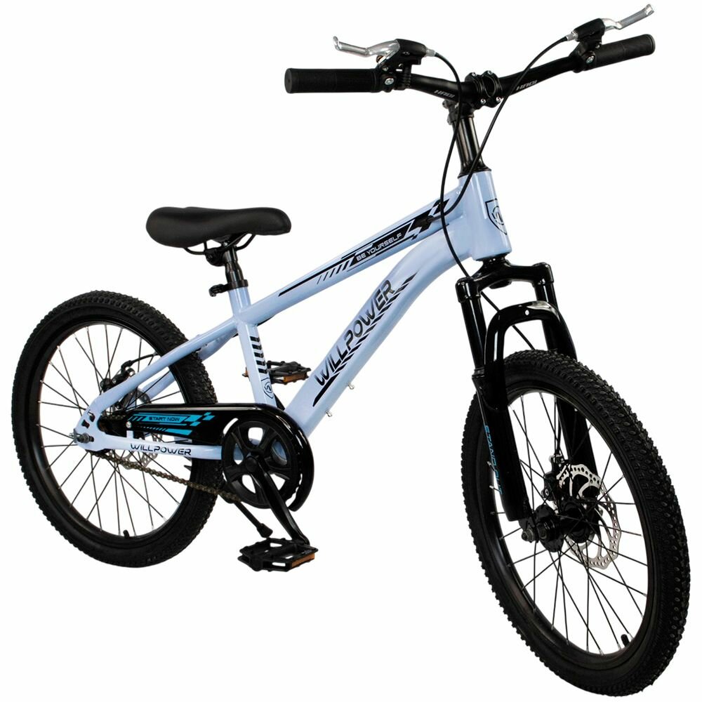 Велосипед детский 2-х колесный 20" WILLPOWER голубой FG250826200K-1, 1 скорость