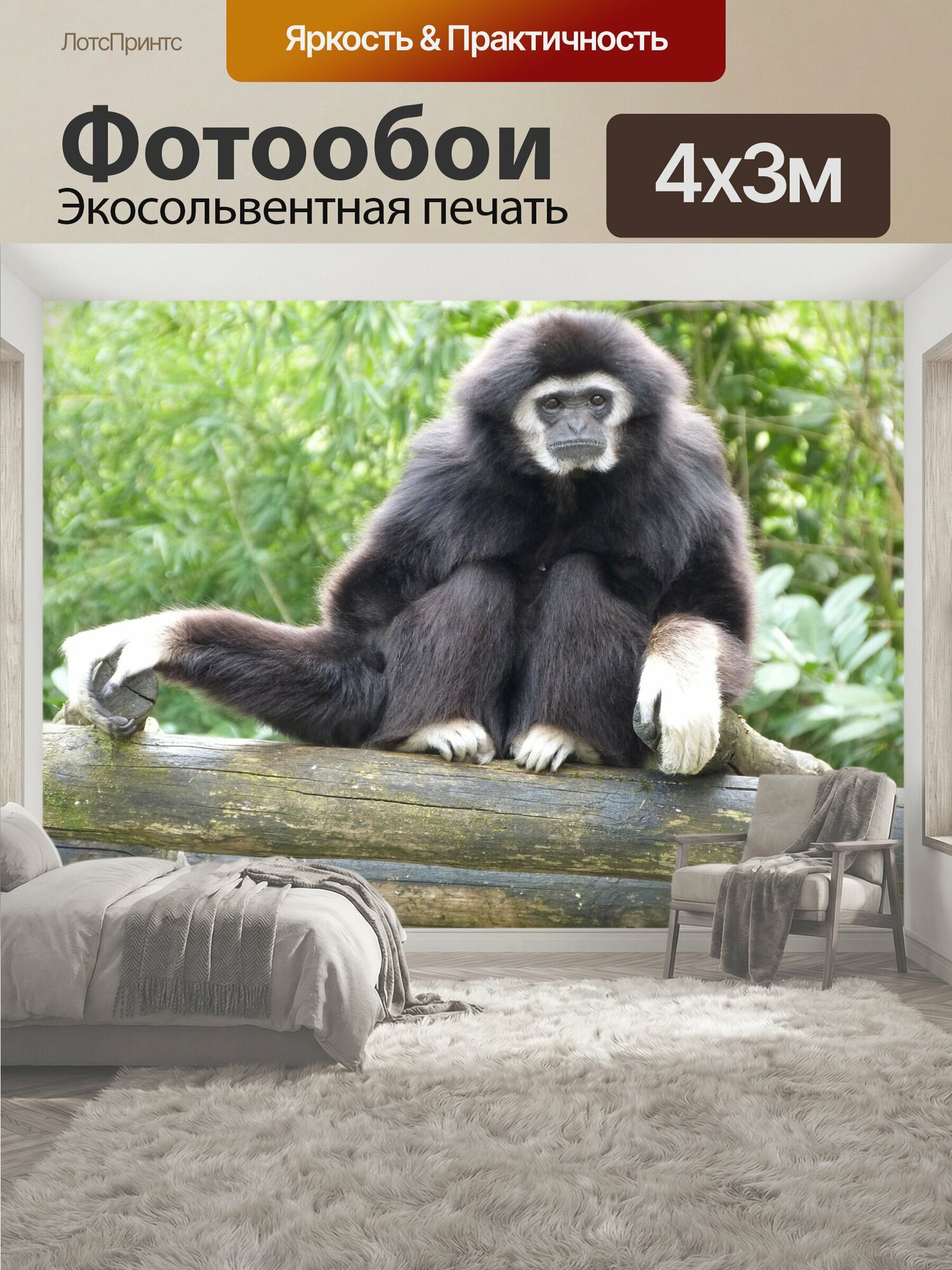 Фотообои "Белые руки гиббон, обезьяны, животные" 400x300 см. экосольвентная печать