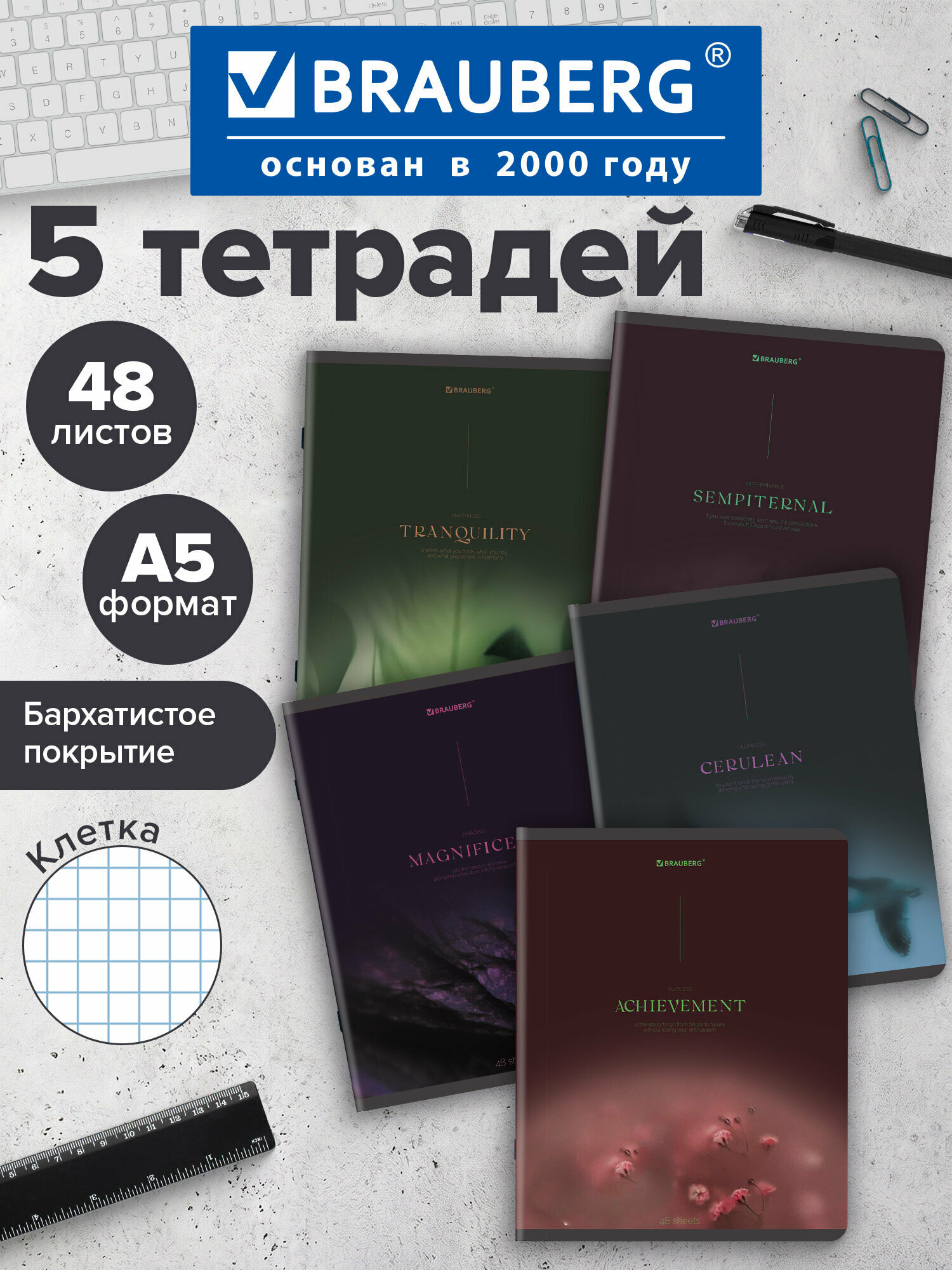 Тетрадь А5 в клетку 48 листов для записей в школу и офис, набор 5 штук, обложка SoftTouch, Brauberg, Peaceful, 404926