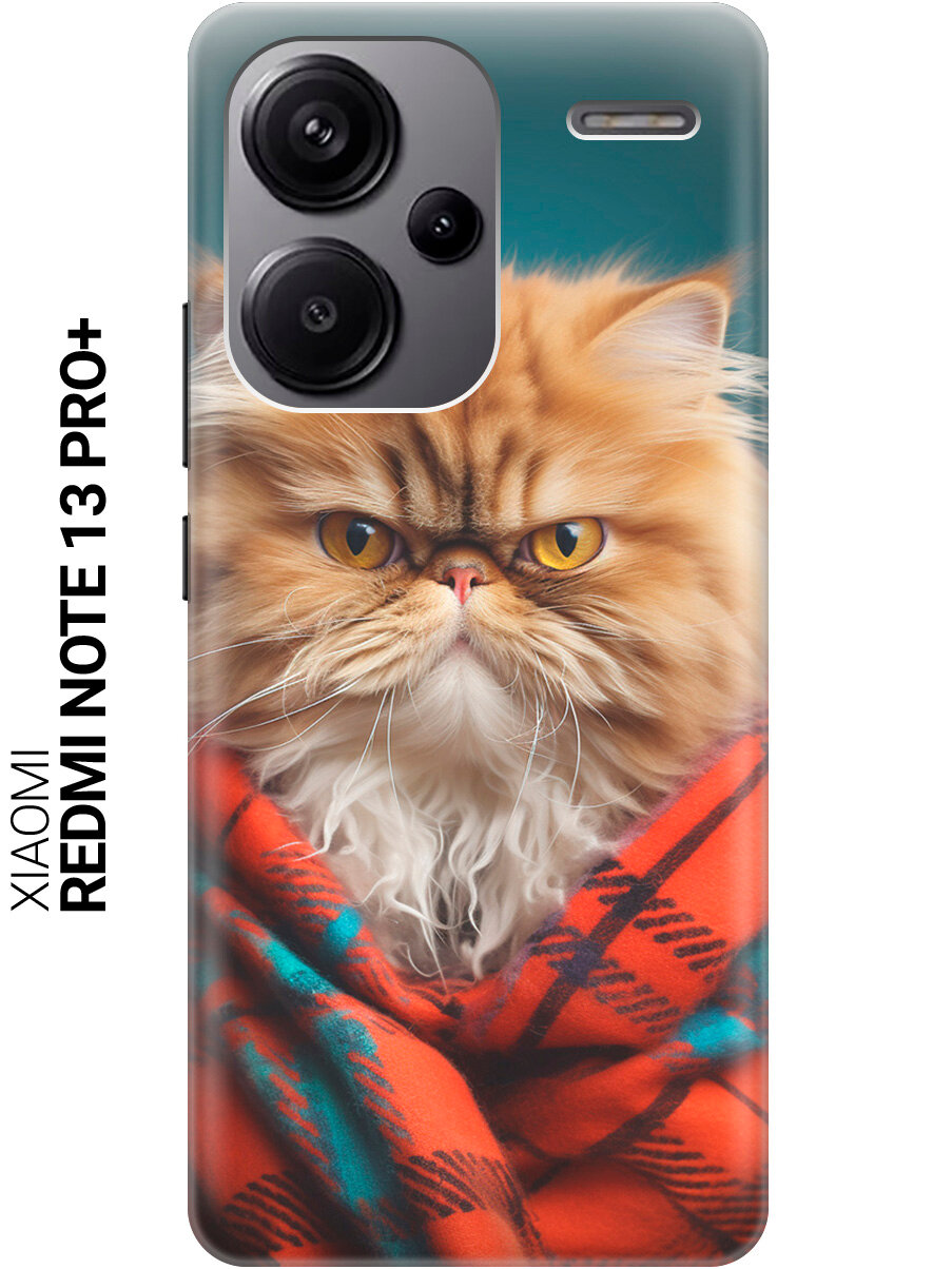Силиконовый чехол на Xiaomi Redmi Note 13 Pro + / Сяоми Редми Ноут 13 Про + с рисунком "Недовольный котик"