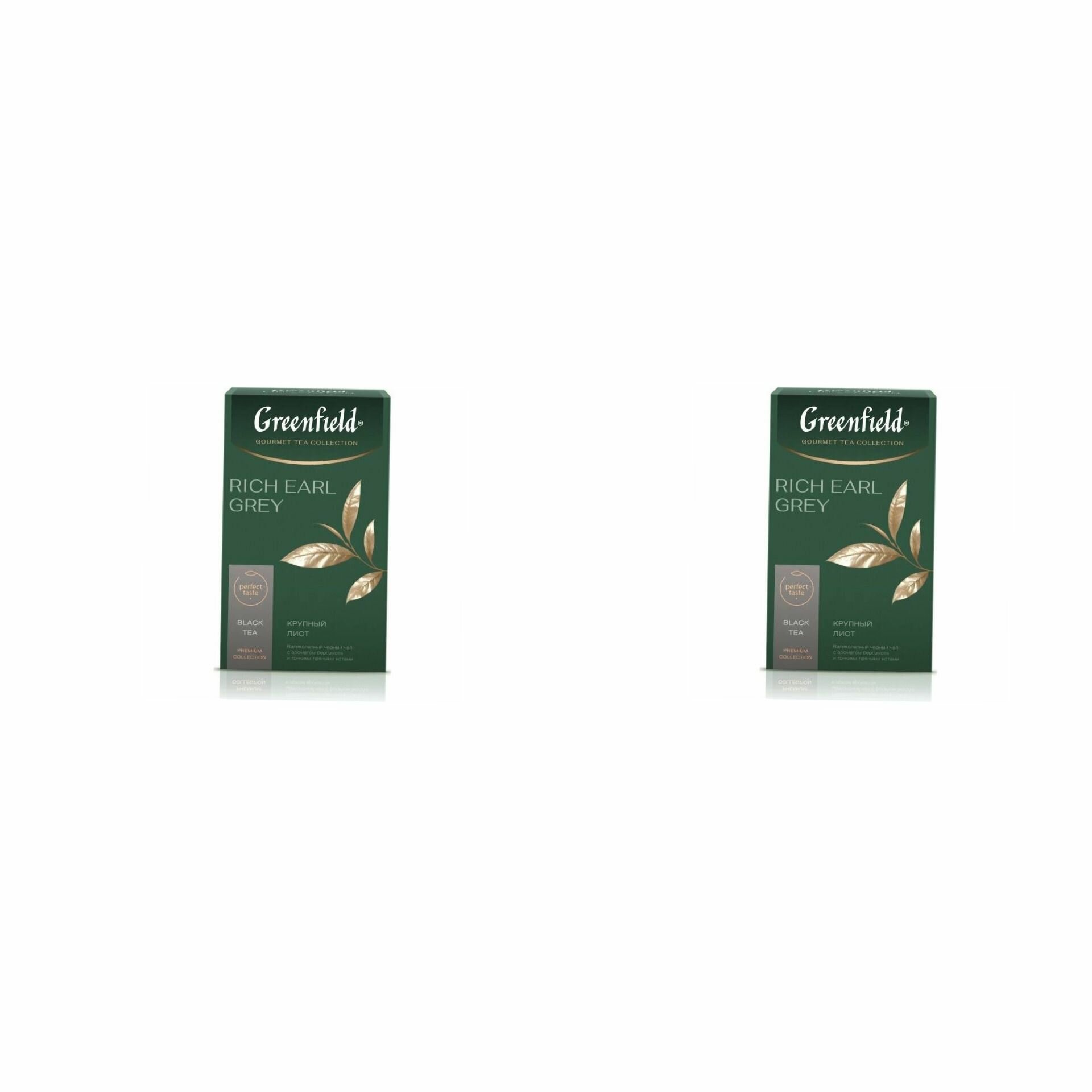 Greenfield Чай черный Rich Earl Grey, 100 г, 2 шт