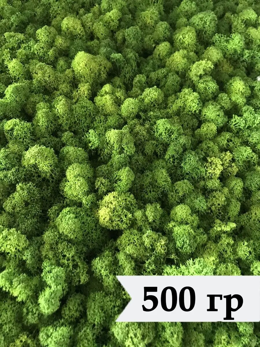 Мох ягель 0,5 кг для декора, дизайна и озеленения