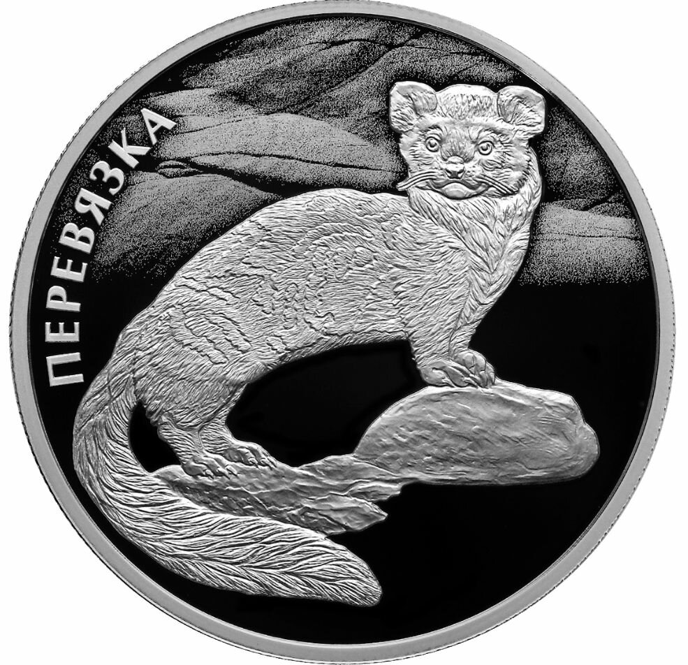 Монета серебряная 2 рубля 2024 г. Перевязка