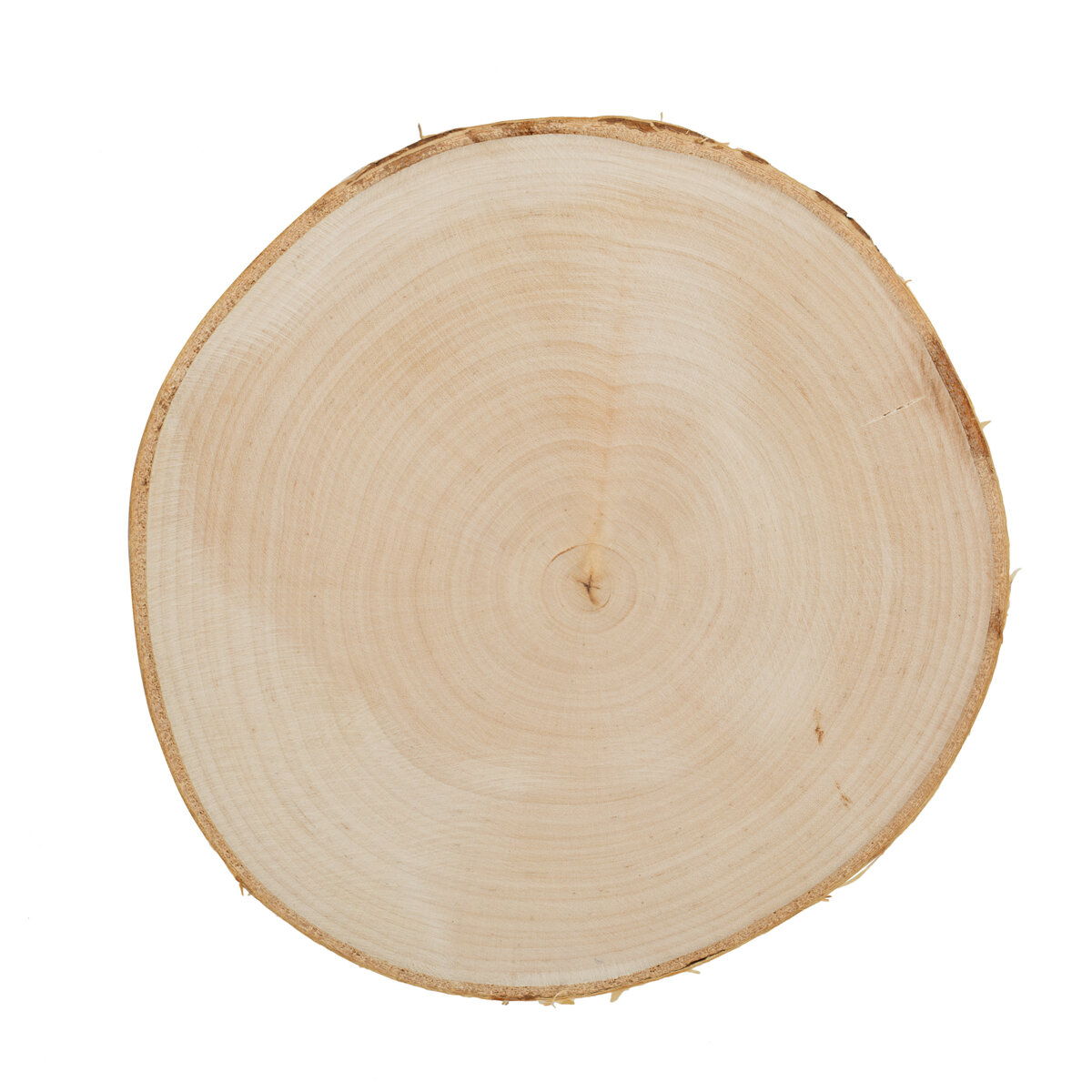 Blumentag СРЕЗ-25-HZ63 срез дерева береза диаметр 15 см ±3, 1 шт природный элемент декора