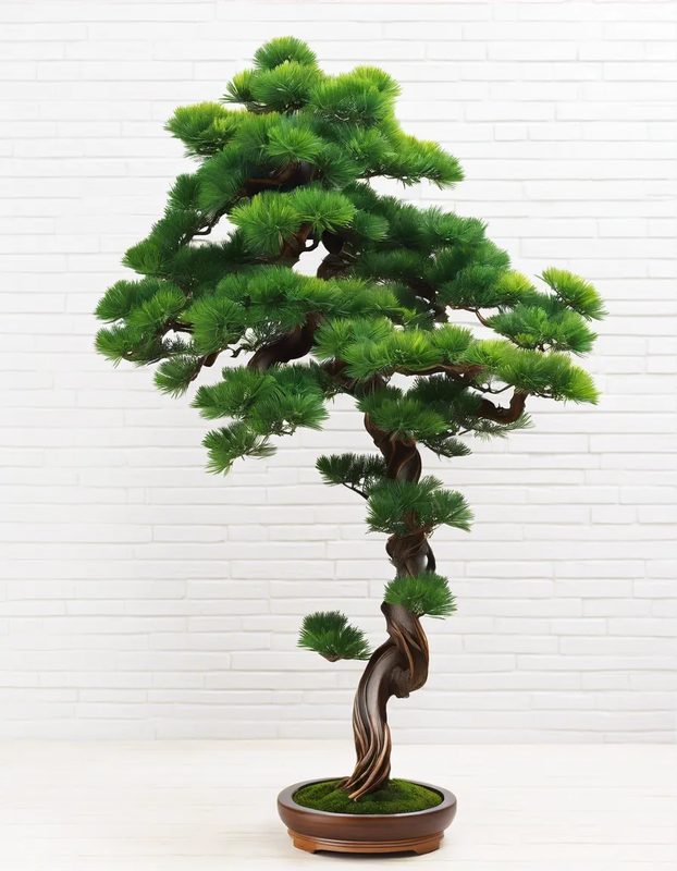 Бонсай Кипарис 170 см