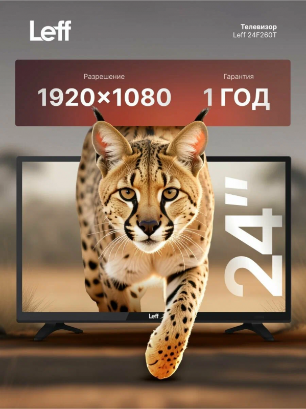 Телевизор LED Leff 24F260T, диагональ 24", родительский контроль, таймер сна, черный