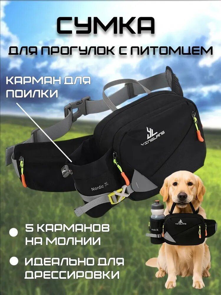 Сумка для лакомства и прогулок с собакой