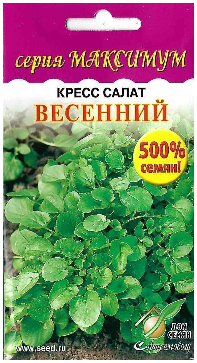 Кресс-салат Весенний (серия Максимум), количество семян в 5 раз больше, сроки годности на 4 года вперед, всхожесть максимальная, 1250 семян