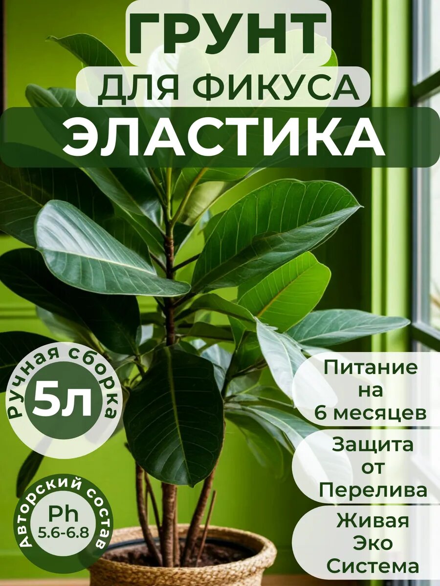 Готовый авторский грунт для Фикуса Эластика, премиум 5 л
