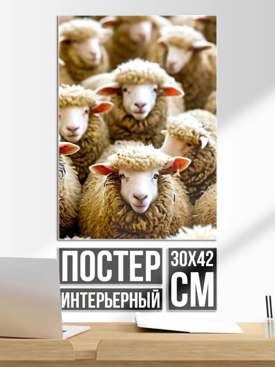Постер на стену Стадо овец