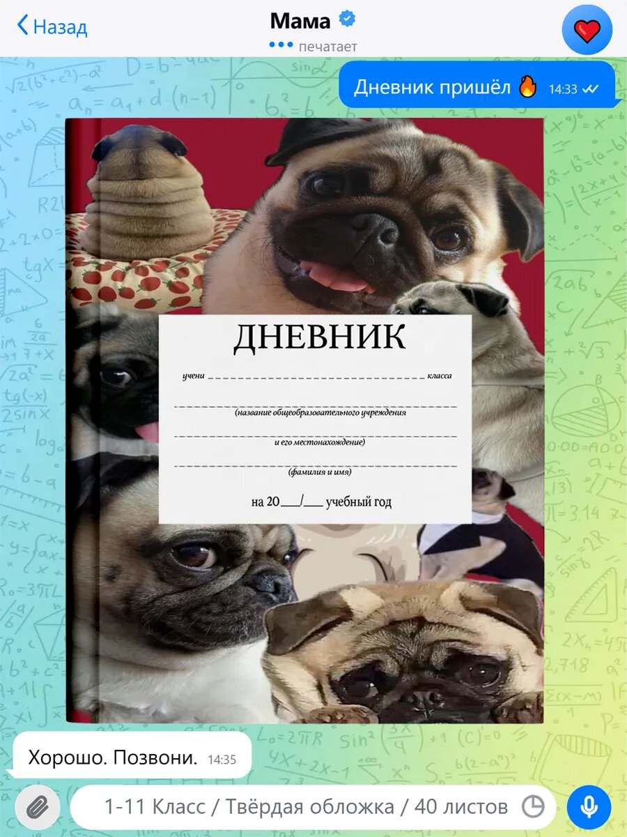 Школьный дневник с принтом Роблокс